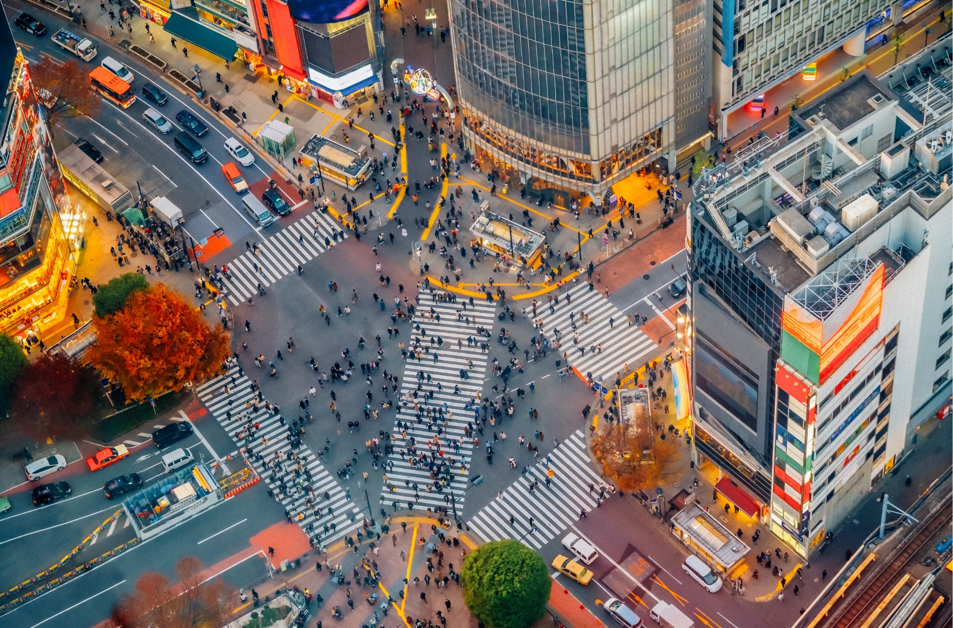 Guía de los Barrios de Tokio: un viaje por la capital